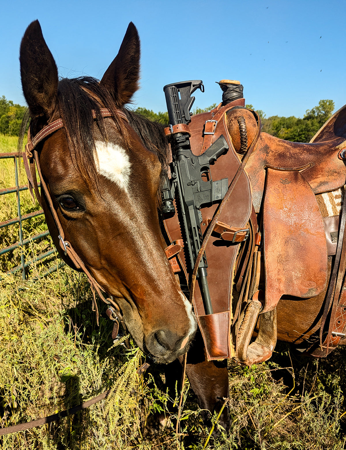 AR Scabbard – AR SCABBARD